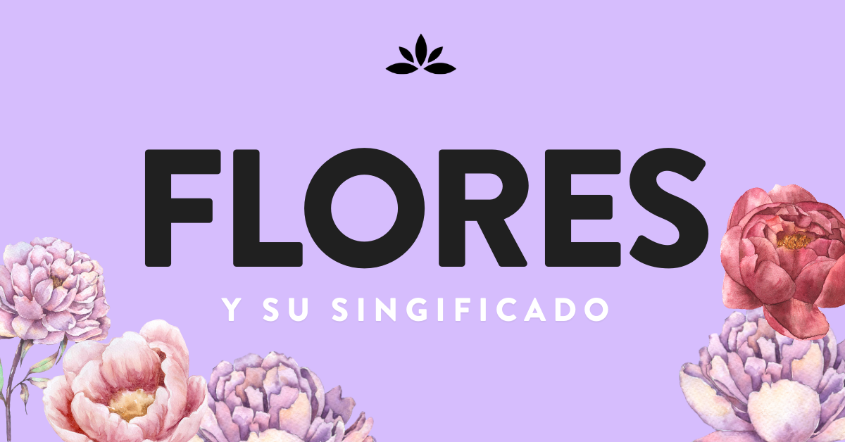 Flowers and their Meaning – Azap Flores MX