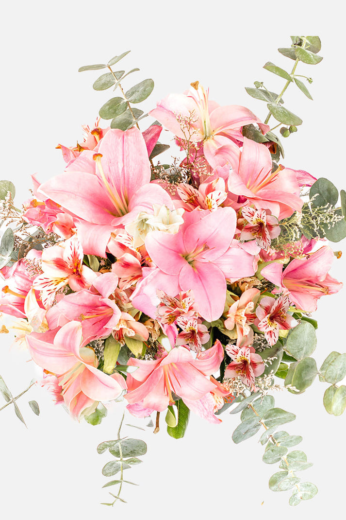 Pantera Rosa / Lilium Rosa CUL – Azap Flores MX